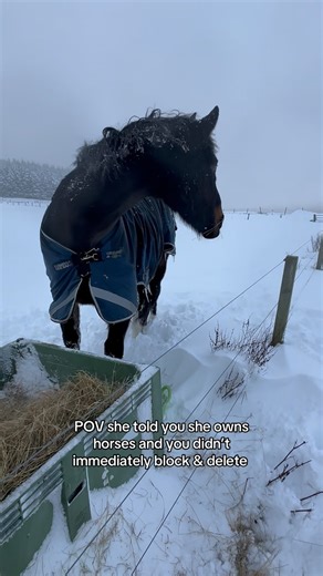 chasingdaisies on Instagram: "Maybe I’ll stop going on about the snow one day but each day gets crazier and crazier up here 🙈 I really don’t think this is what he had in mind when I told him I have horses 🤣 #horsegirl #horsesinsnow #owninghorses #horsecare #nonhorseyboyfriend"