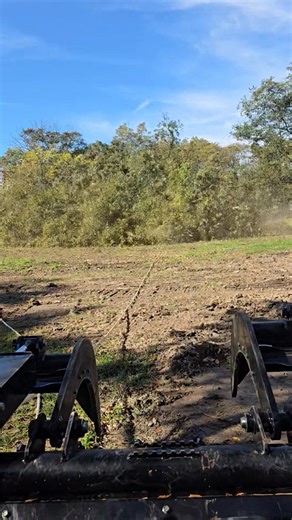 Cleaning up a fallen Oak and removal of this large Pecan. | Conrad Tree Service