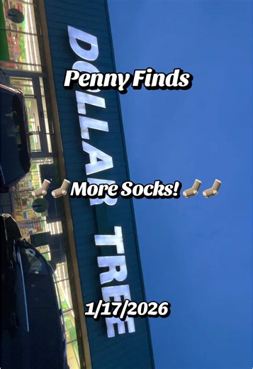 Dollar Tree Penny Shopping Adventure: Finding Hidden Gems