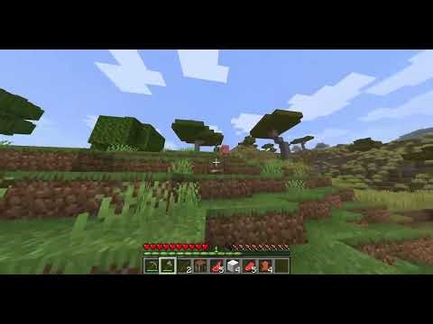 day 1 (minecraft java)