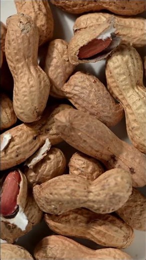 8 февраля 2026 г.