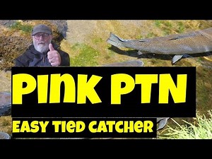 Fly's for rainbow trout (The Pink PTN)