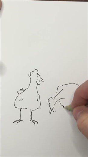 Hens #drawing #stillife #art #sketch #draw #doodle #chicken #hen #birds #coop #illustration #peace