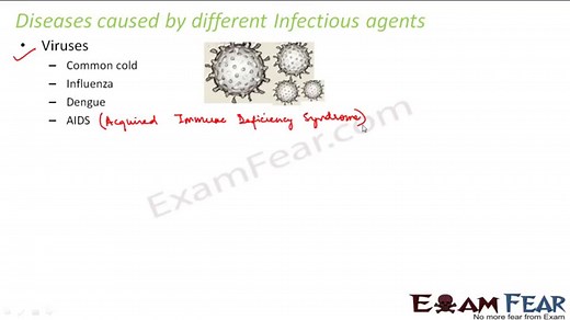 Difference Between Infectious and Noninfectious Disease - HRF