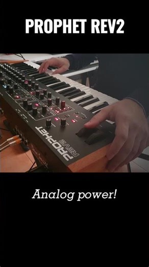 Prophet REV2 #prophetrev2 #sequentialcircuits #davesmith