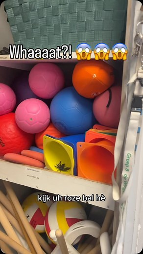 67K views · 598 reactions | Wat zou jij doen?  #gymles #gymmeesterdaan #spin #spinnenfobie #spiderattack | Gymmeesterdaan | Facebook