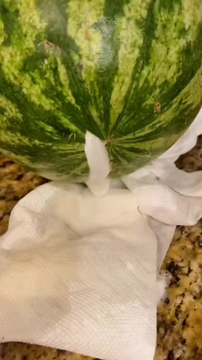 SlingshortsStory on TikTok