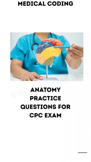 CPC Exam Anatomy | Frequently Asked Question Explained Fast! #shorts
