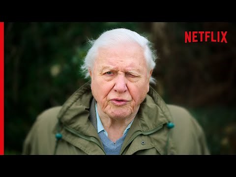 Sir David Attenborough On The Devastating Truth About Coral Reefs