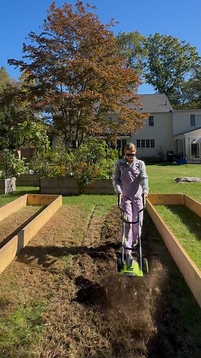 Wow, I wish I had bought this $100 tiller years ago!! Yes it’s corded, but it is so easy to operate and I can make a new garden bed in minutes! I had some fairly compacted soil in my front yard and I knew that the only way I would be able to plant there was if I tilled it up… I looked into renting a tiller but then I found this online for $100 and I figured I might as well give it a try. Now it has become my new favorite garden tool and if you’re making new beds or turning over beds I highly rec