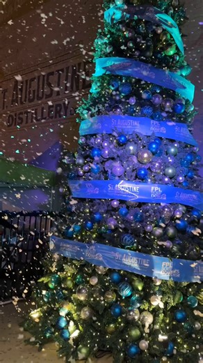 105K views · 61 reactions | Our tree at St. Augustine Distillery is up and shining bright for the season! We were thrilled to participate in last weekend’s event to light up the holidays. Visit the FPL SolarNow canopy to enjoy the festive display through the end of January—don’t forget to snap a photo and share the cheer! #FPLSolarNow #CelebrateSolar #HolidayEvent | Florida Power & Light | Facebook