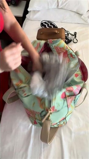 Disney Packing Battle: Messy vs Methodical! #disney #disneyworld