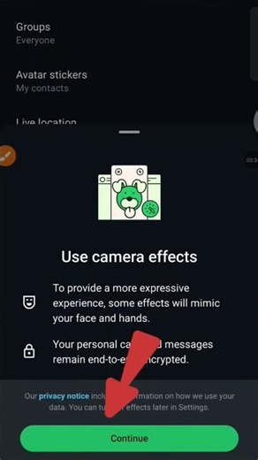 Use Effect Video Call In WhatsApp | New Feature WhatsApp | Allow Camera Effect In WhatsApp |