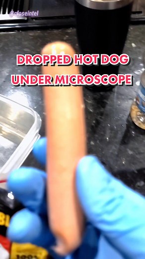 Dropped Hot Dog #undermicroscope #microscopicview #microtok #microcosmos #microscopic #microscopy #microbiology #🔬 #microbio #microworld #hotdogs