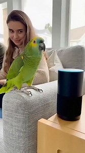 1M views · 8.6K reactions | This parrot didn’t just talk to Alexa… he...