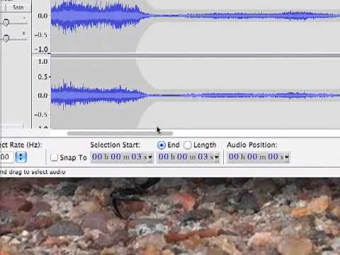 Layering and Basic Edits with Audacity