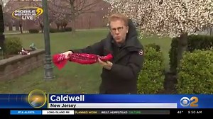 32K views · 436 reactions | DIY NO-SEWING MASKS: CBS2's John Elliott demonstrates a quick way to fold a bandana or large handkerchief around two hair ties with a drop of an essential oil to make a cloth boundary over your mouth that will work as a makeshift mask. For more DIY mask guides, check out: https://cbsloc.al/2RcZfoC | CBS New York | Facebook