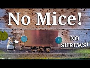 Mouse Guards Keep Mice out of your Bee Hives Quick Tip
