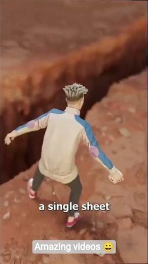 Crossing bridge, what amazing hack by toilet paper #birdtrend