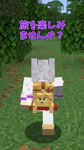 Let's go on an adventure with a backpack of your favorite things! #minecraft #mod