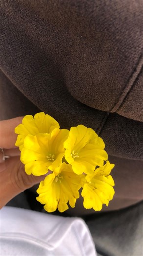 Moxie Models on Instagram: "Mis amigas son modelos✨ se les nota? #model #moxie #viral #fypppppppppppppppppppppppppppppppppppppppppppppppppppppppppppppppppppppp #cuba"