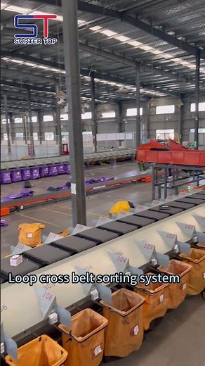 Loop cross belt sorting system