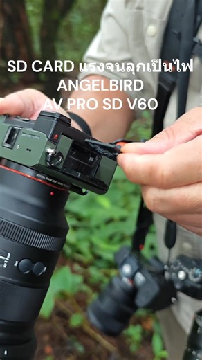 ลองให้ดูว่าสาย pygtech camera strap master นี่มันสลับกล้องไวจริ๊ง #pygtech #angelbird | สำนักป้ายยา