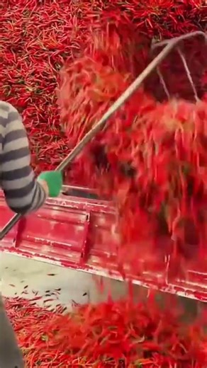 Make it One way to make a dish and reduce the chili#shorts #trending #youtubeshorts #viral