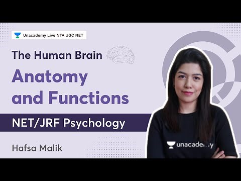 The Human Brain: Anatomy and Functions - NET/JRF Psychology | Hafsa Malik | NTA UGC NET