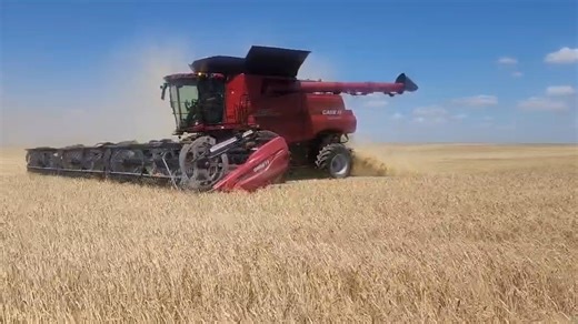 11 reactions | Harvest Demos! The Case IH 8250 Axial Flow Combine & MacDon FD245 Front. #caseihcombine #CaseIH #Harvest2025 #rockyriverag #macdon | Rocky River Ag Services | Facebook