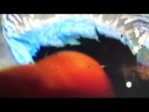 Lifetimes In Every Wave - Dimensional Frequencies