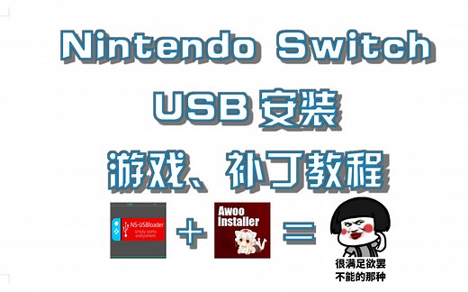 nintendo switch USB安装游戏教程-ns-usbloader-awoo installer