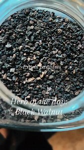 Black walnut hulls DO NOT play when it comes to cleansing your gut. Remove parasites naturally with no chemicals, just results. Comment “hull” for direct link #blackwalnut #parasitecleanse | Meelah Moss
