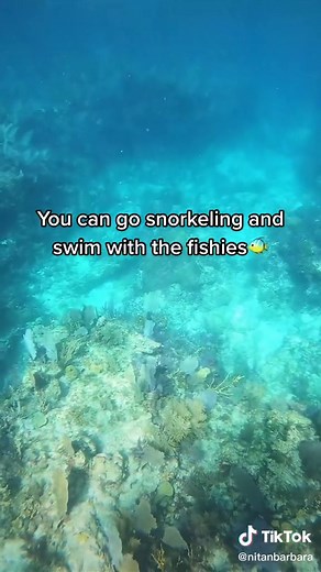 Explore the Underwater Wonders at John Pennekamp Coral Reef State Park