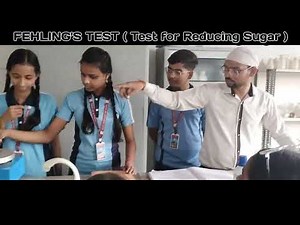 Fehling's Test | Detection of Reducting Sugar #plusscience #practical #tollens #fehlings