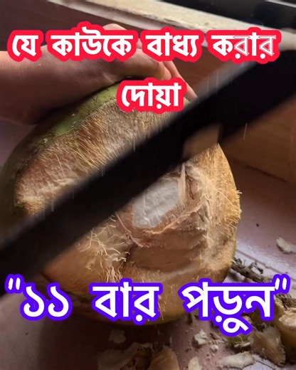 The history of #photography Began with the discovery of two critical principles: The first is camera obscura image projection, the second is the discovery that some substances are visibly altered by exposure to light [2]. There are no artifacts or descriptions that indicate any attempt to capture images with light sensitive materials prior to the 18tBegan with the discovery of two critical principles: The first is camera obscura image projection, the second is the discovery that some substances