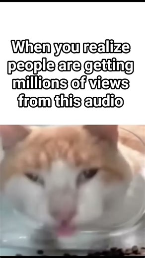 How does the audio algorithm works.