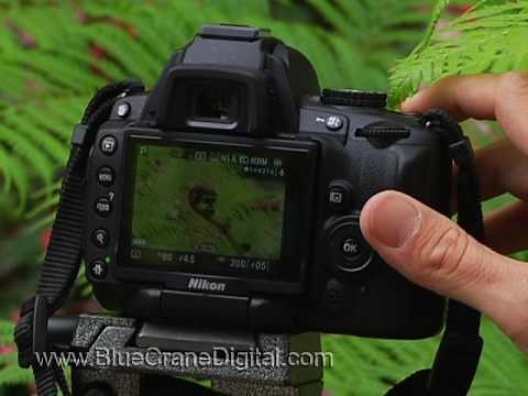 Nikon D5000 - Focusing in Live View
