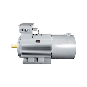 [Hot Item] Tcyp355m3-1000/200kw Frequency Variable Reluctance AC Synchronous Electric Motor