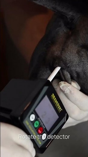 Dog Ovulation Detector DOD2 – How to use