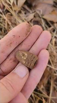 Metal Detecting: THEY WERE HERE! (Woods)