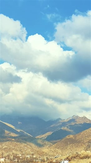 babat reşit on Instagram: "#funny"