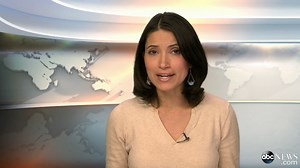 Virginia Cop's Taser Use Investigated