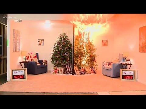 WATCH: Christmas Tree Burning Demonstration