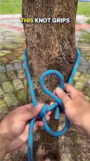 Solid Grip + Reliable Hold + Tree Wrap Knot #knotskills #lifehacks #diy #shorts