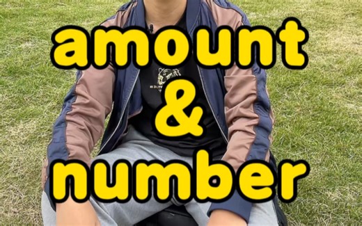 amount和number的区别