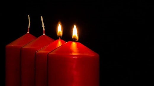 News from the week beginning 8th December