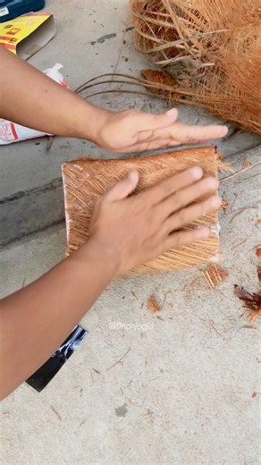 Building a natural coconut fiber nest box for my finches. This handmade design creates a warm and safe space that helps small birds feel more comfortable during breeding. Love watching every detail come together. #Finch #Finches #BirdCare #AviaryLife #HighCPMVideo #fblifestyle | Indra Prihantoro