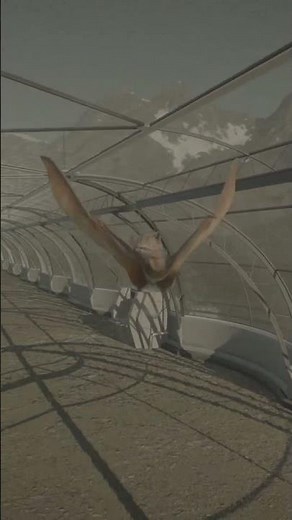 Dimorphodon: Agile Sky Hunter! 🦇🦖 | Jurassic World Evolution 2