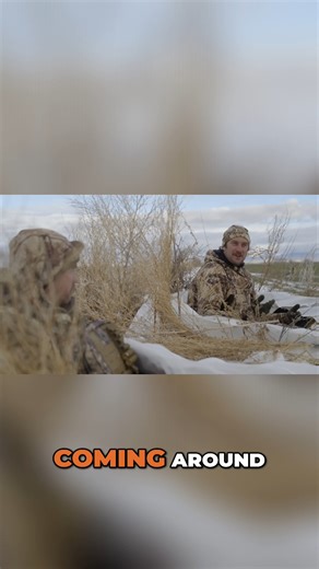 120K views · 897 reactions | Chef and host of “Makin’ It”, Brad Leone, joins Ryan Callaghan in an Idaho wheat field for some winter honker hunting. After an early morning of gearing up, Cal shares with Brad his techniques for decoying, calling, and taking down incoming geese. With a plentiful number of birds in the sky it doesn’t take long for their barrels to heat up and the team to limit out. But what the heck do you do with goose meat? | MeatEater | Facebook
